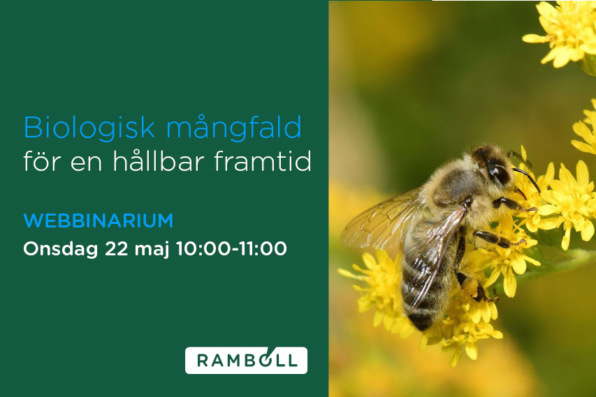 Webbinarium - Registrera dig för att se inspelningen Biologisk mångfald ...